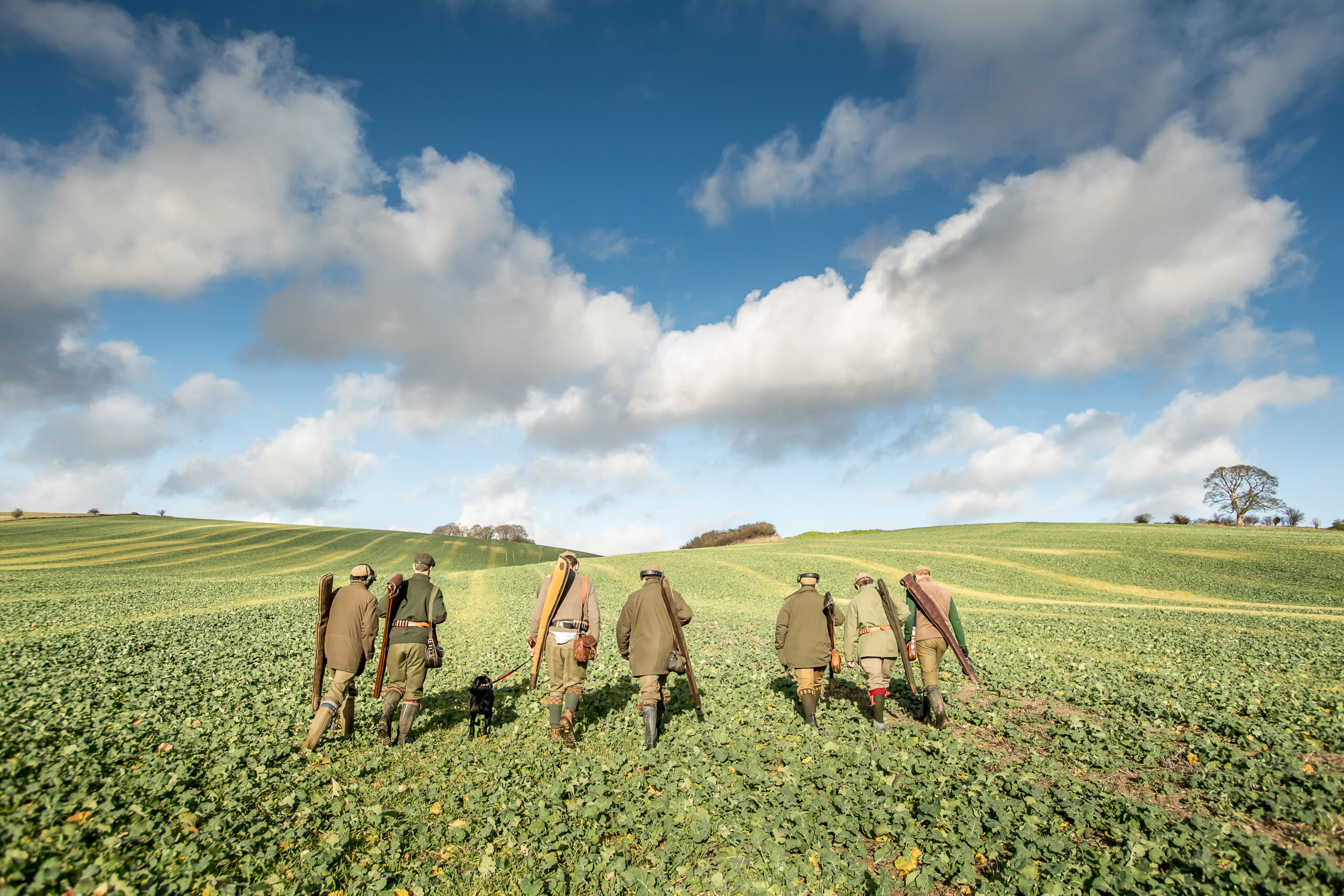 Report on the 2023-24 Season - Roxtons