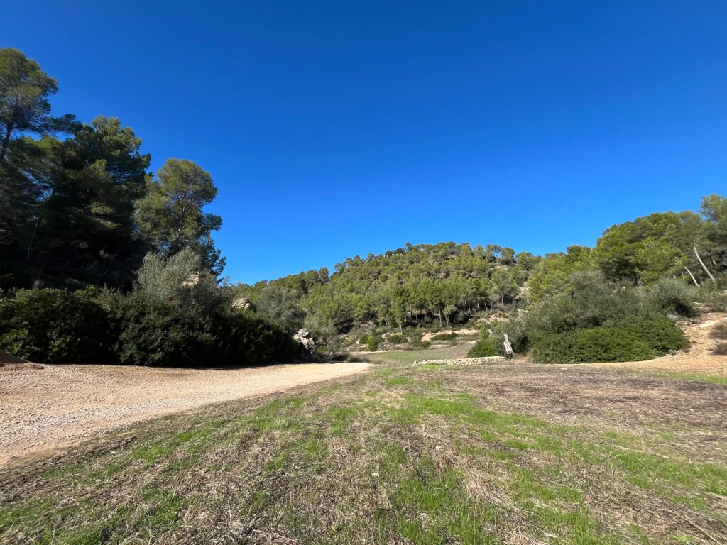 The Balearic Partridge Paradise: Las Barracas, Mallorca - Roxtons